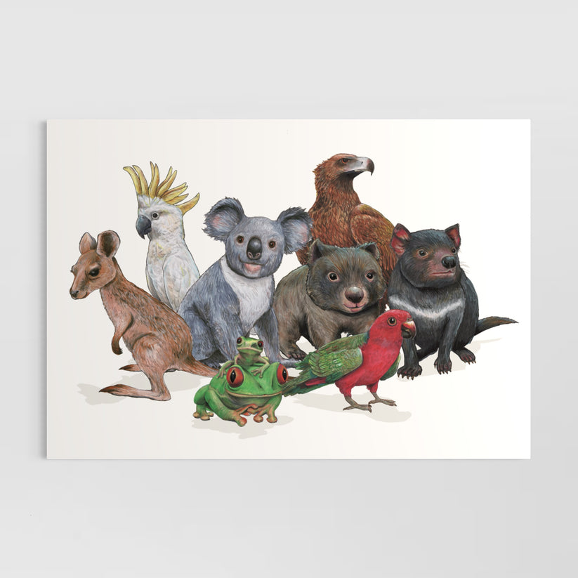 Australian Animals Group – Up In Frames